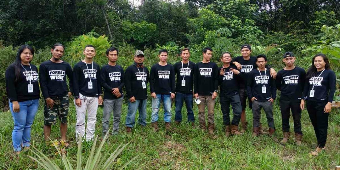 Forestwise from the Netherlands secures Investment from Terratai to protect Rainforests ...